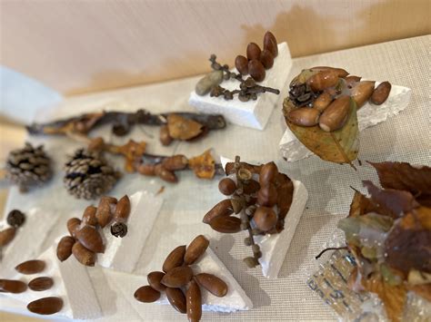 秋モード 薬園台 学びの保育園 薬園台 学びの保育園