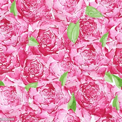 핑크 장미 완벽 한 패턴입니다 손으로 그린 수채화 꽃 끝없는 인쇄 아름 다운 꽃 환상입니다 귀여운 낭만적 인 꽃입니다 꽃 구성 식물 배경입니다 장미 벽지 여름 정원