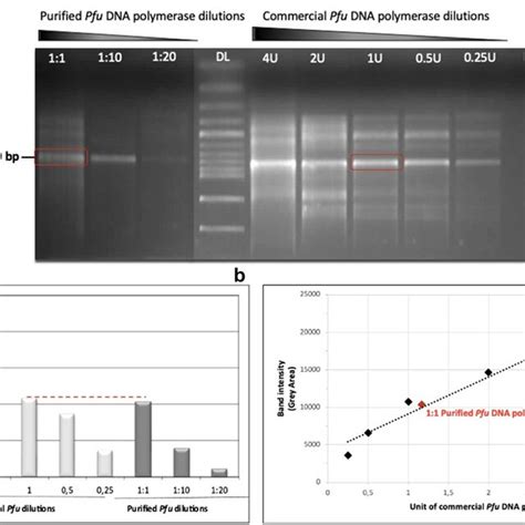 enhanced biomass production of recombinant pfu dna polymerase producer