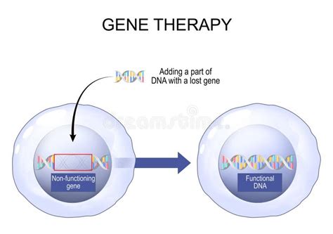 Gene Therapy Genetic Engineering Genome Editing Stock Vector