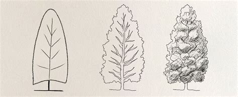 Trees Drawing Tutorials MANUR Trees Drawing Tutorial Tree Drawing