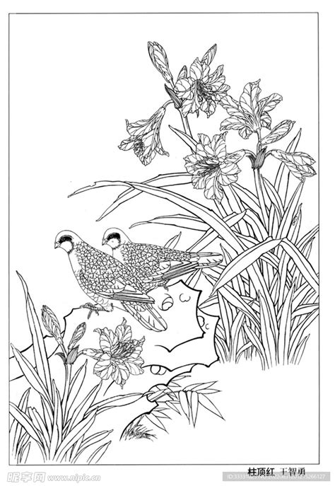 工笔花鸟设计图绘画书法文化艺术设计图库昵图网