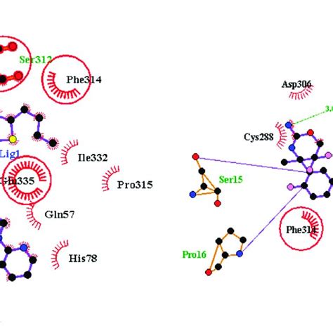 Two Dimensional Representation Of Inhibitors Docked With The Catalytic