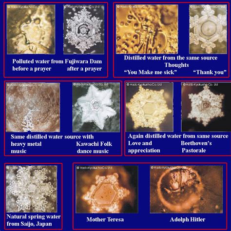 Pin By Peggy Quilty On Water And Masaru Emoto Cool Science Facts