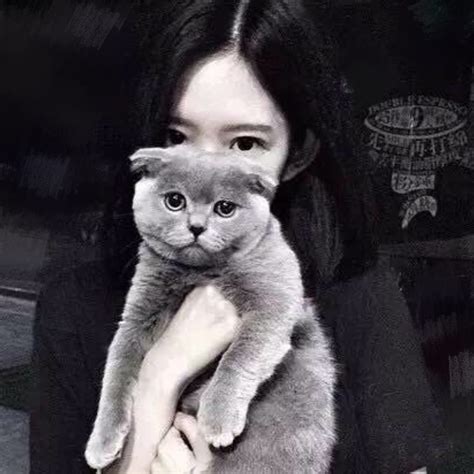 绅士 宇西 高音质在线试听 绅士歌词 歌曲下载 酷狗音乐