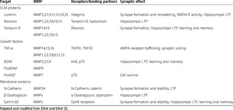 Mmp Substrates In Synapses Download Table