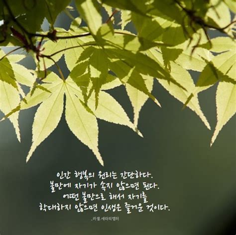 삶에 대한 인생 명언과 지혜 명언 글귀명언모음 네이버 블로그