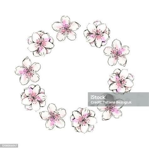 벚꽃 손으로 그린 꽃 순환 프레임 핑크 사쿠라 화환 웨딩 카드 초대장 어머니의 날과 발렌타인 카드에 대한 수채화 그림 귀여운 섬세 한 꽃 분리 디자인 0명에 대한 스톡 벡터
