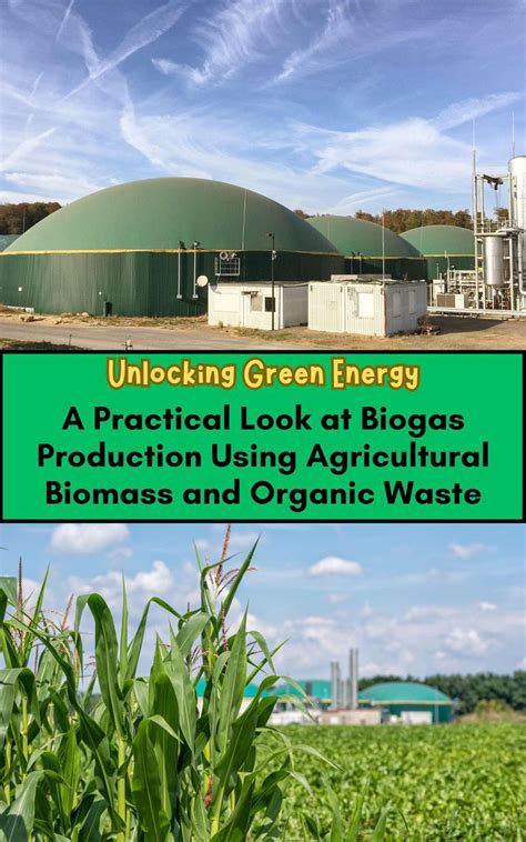 Unlocking Green Energy A Practical Look At Biogas Production Using