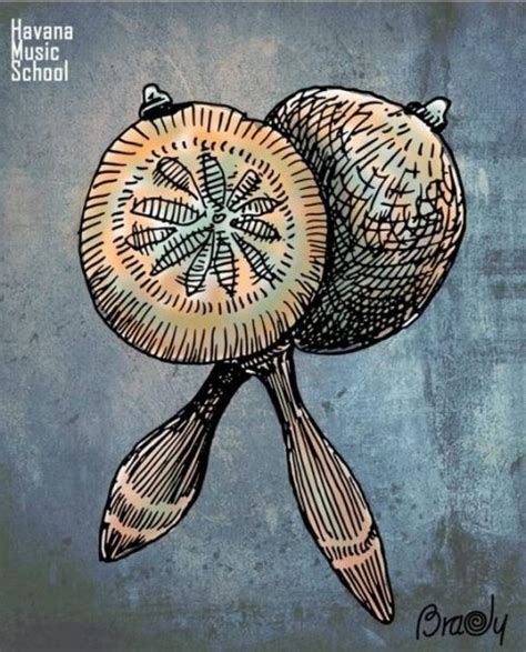 The Maracas In Cuban Music Havana Music