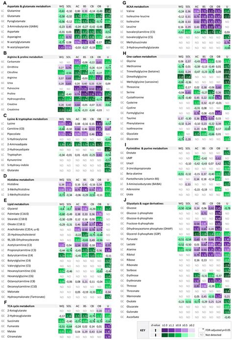 Cross Comparison Of Metabolic Alterations In Ndufs4 Ko Mice Heatmap Of