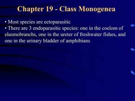 Ppt Chapter 19 Class Monogenea Most Species Are Ectoparasitic