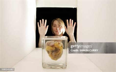 Jennifer Sutton Photos And Premium High Res Pictures Getty Images