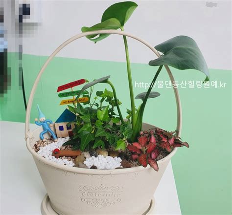 부산 원예 체험 수업 초등학교 교육 복지 사업 원예 치료 프로그램 힐링미니정원 강점 화분 만들기 네이버 블로그