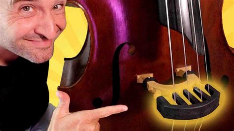Choosing Double Bass Strings Whats Right For You Double Bass Hq