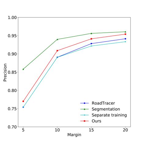 joint segmentation and path classification of curvilinear structures