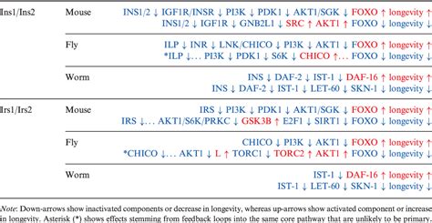 Table 1 From Bioinformatics Discovery Note Systems Biology Comparison Of The Mammalian Insulin