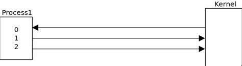 File Descriptors Explained Linuxmeerkat