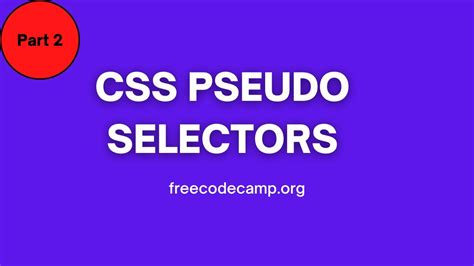 learn css pseudo selectors by building a balance sheet freecodecamp