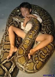 Mimpi Ular PinkRangers