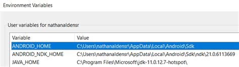 Looks Like Rider Is Actually Not Using My Environment Variables Silk Net