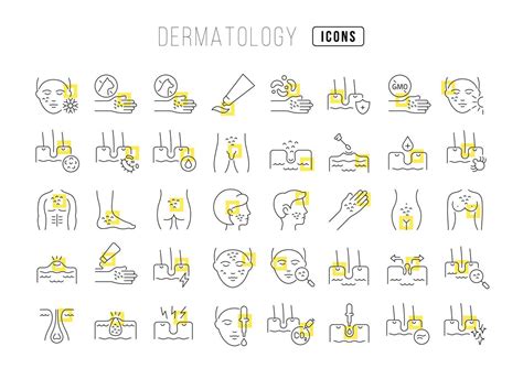 Set Of Linear Icons Of Dermatology 9640538 Vector Art At Vecteezy