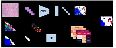 Illustration Of The Framework For The Use Of Spatial Information