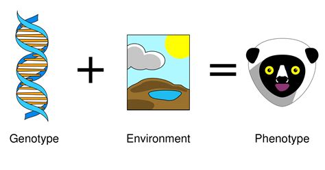 Environment Clipart Environmental Factor Environment Environmental