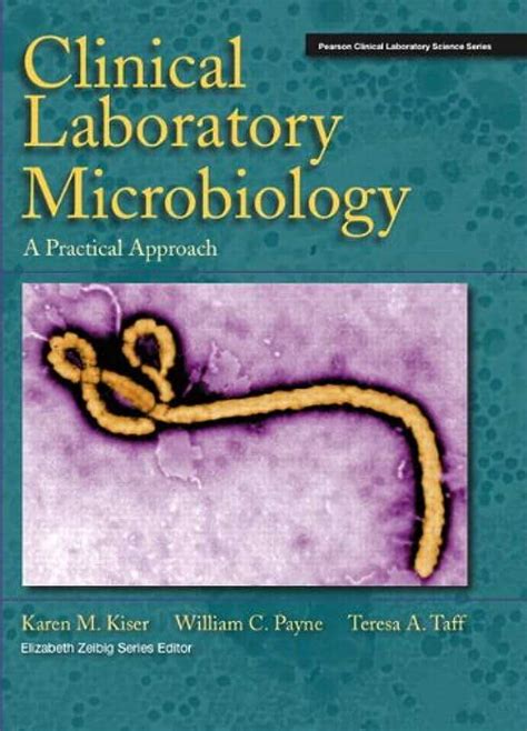 Mastering Your Microbiology Lab Practical Exam Tips And Tricks For Success
