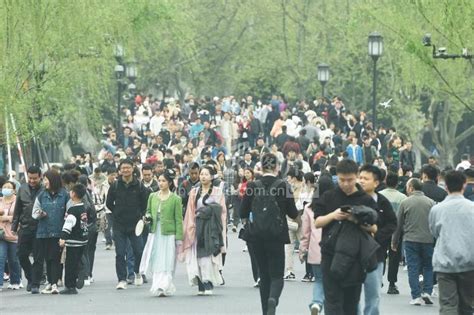 浙江杭州西湖游人如织 人民图片网