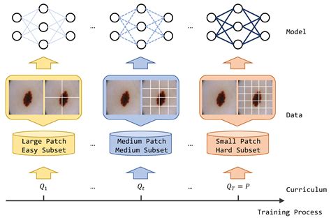 Curriculum Consistency Learning And Multi Scale Contrastive Constraint