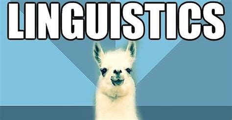 Linguistics From Sounds Morphemes And Syntax To Brains Context And Conversation Small Online