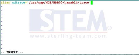 Hana Housekeeping Dengan Script Python Sap Business One Indonesia