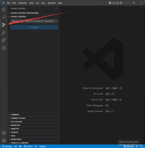 Vscode的git控制面板切换为中文vscode Git中文 Csdn博客 Vscode的git控制面板切换为中文vscode Git中文 Csdn博客