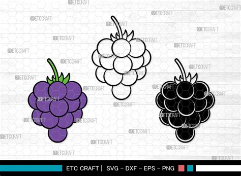 Raspberry Svg Raspberry Silhouette Graphic By Pixel Elites · Creative