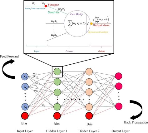 Typical Structure Of The Mlpnn Download Scientific Diagram