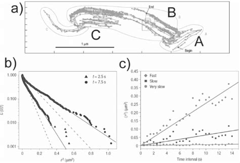 Diffusion Analysis Of An Individual Trajectory In The Hexagonal Phase