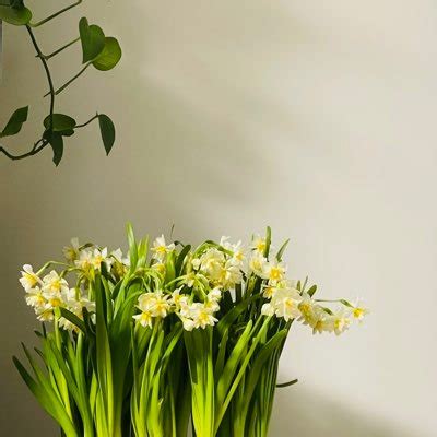 On Twitter Https T Co E Lhgkvs Twitter