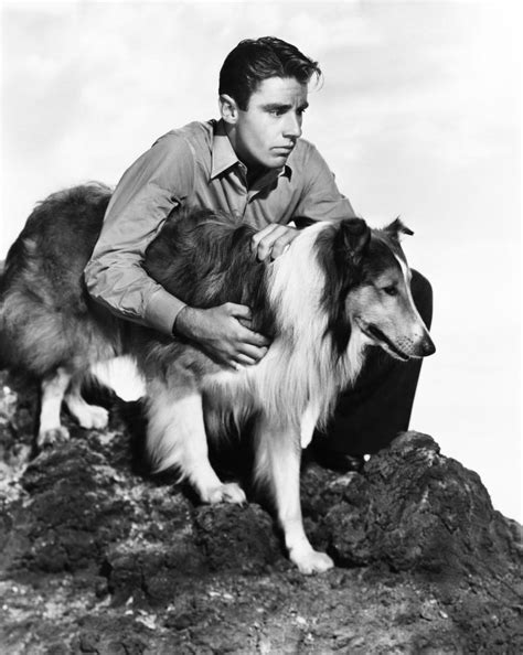 Peter Lawford Actor