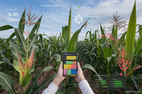 C Opencv机器视觉实现农作物病害检测 Ew帮帮网