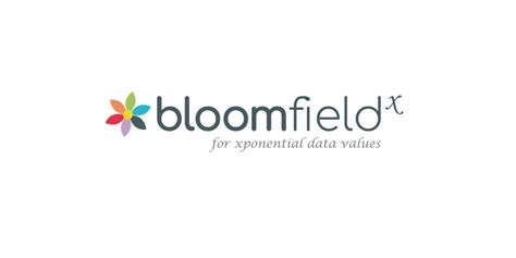 Bloomfieldx A Data And Analytics Solution Provider