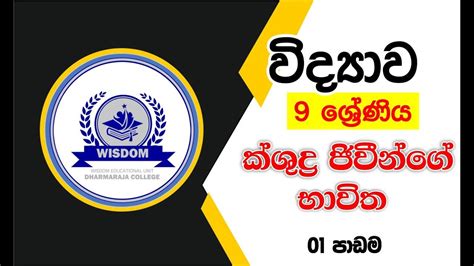 ක්ෂුද්‍ර ජිවීන්ගේ භාවිත 9 ශ්‍රේණිය පළමු පාඩම Youtube