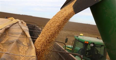 El Gobierno Dará Inicio A La Baja Temporal De Retenciones Al Campo Y