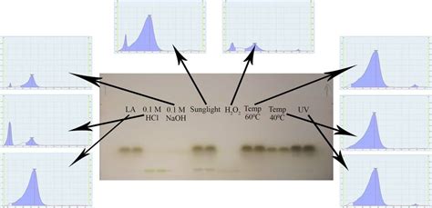 Chromatographic Plates Showing The Effects Of Various Stress Factors Download Scientific