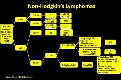 Lymphoma Overview Ppt Free Download