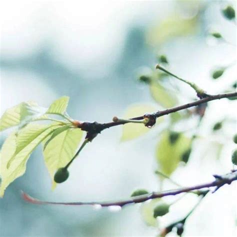 人生最难的是什么？（大实话）习惯