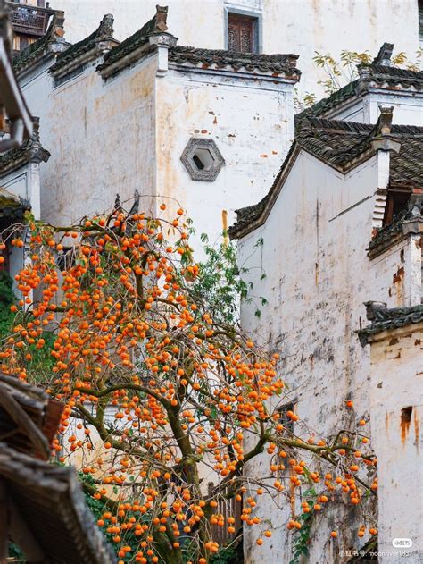 Pin Von Wu Wei Auf D01 城鎮房子 In 2025