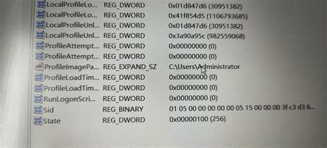 【植物大战僵尸™ 和睦小镇保卫战】关于电脑用户名本来就是英文缺出现黑屏闪退的问题 3楼猫