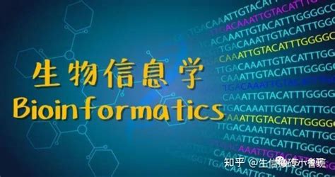 生物信息学基本知识 知乎
