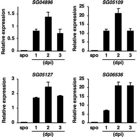 Amino Acid Sequence Alignment Of The Jacalin‐like Lectin Domain